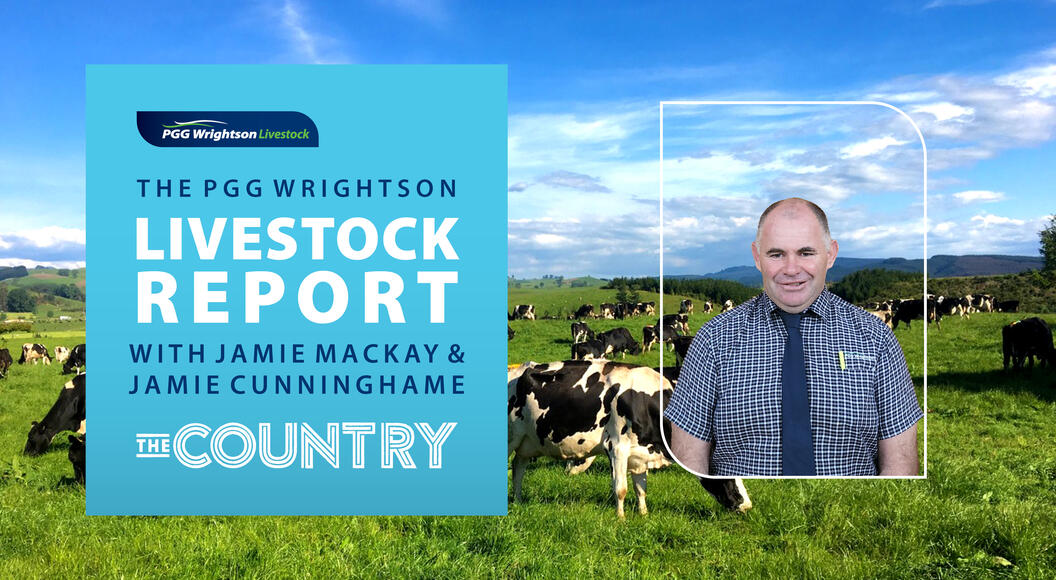Helping Grow the Country | PGG Wrightson